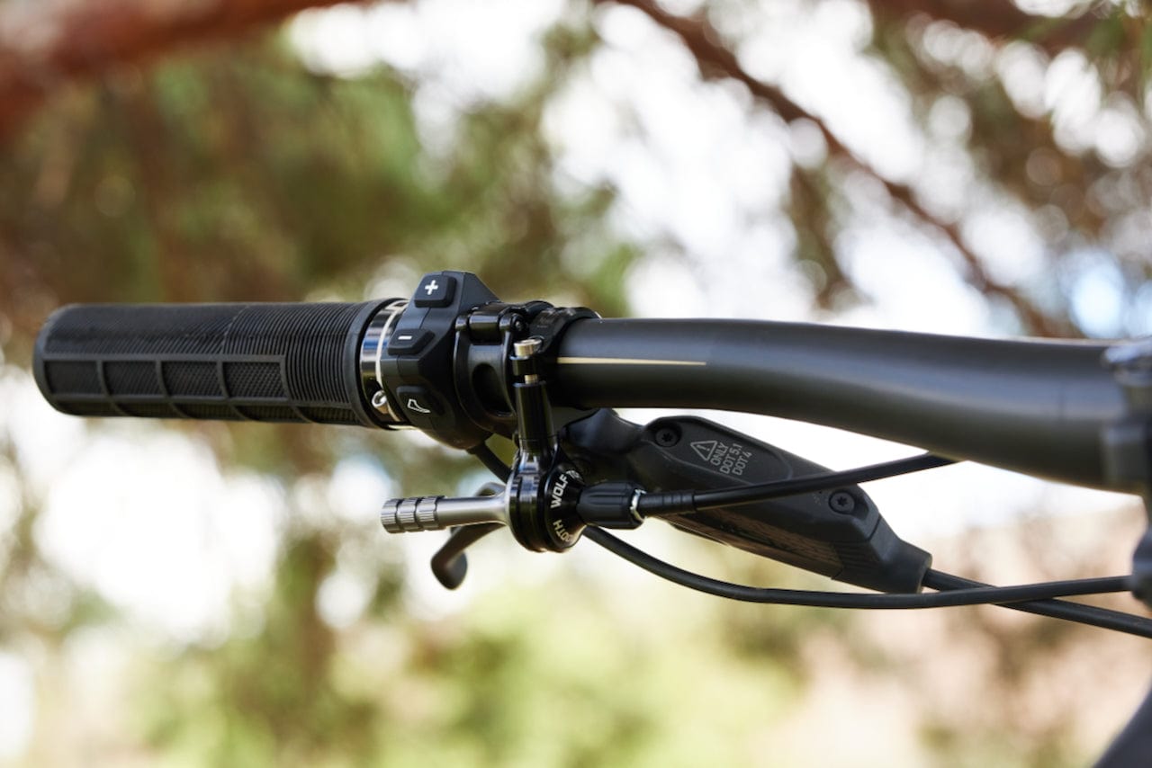 ReMote 360 - Wolf Tooth Components